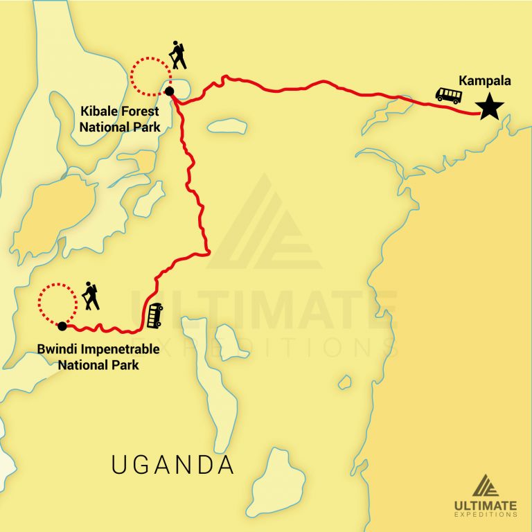 5 Day Bwindi and Kibale Safari